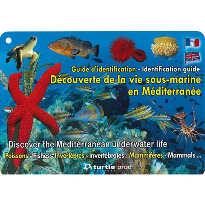 Découverte de la vie sous-marine en Méditerranée - Éditions GAP