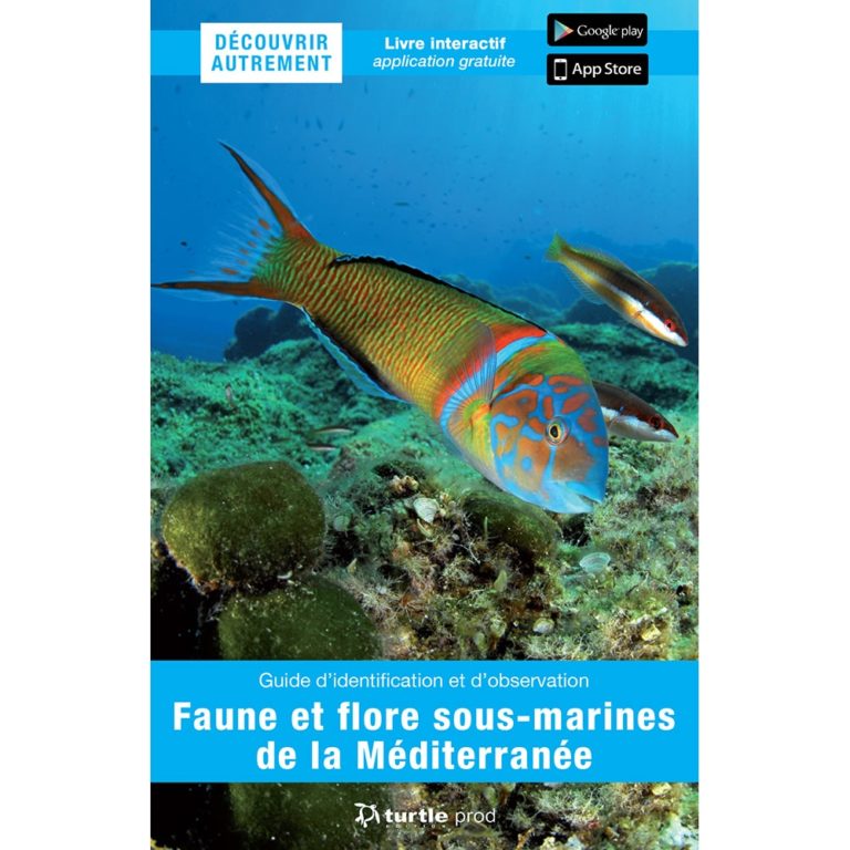 Découvrir Autrement Faune et flore sous-marines de la Méditerranée ...